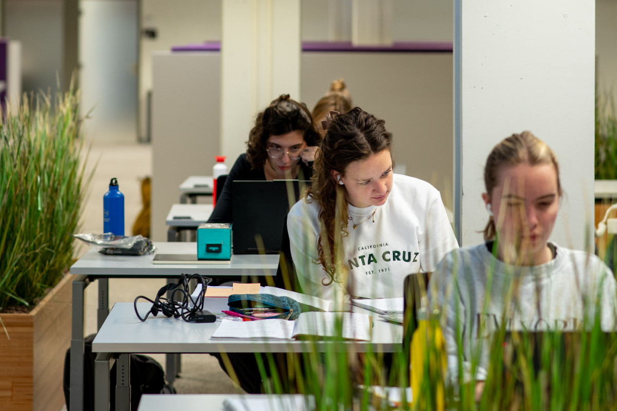 Schakeltrajecten | Universiteiten van Nederland